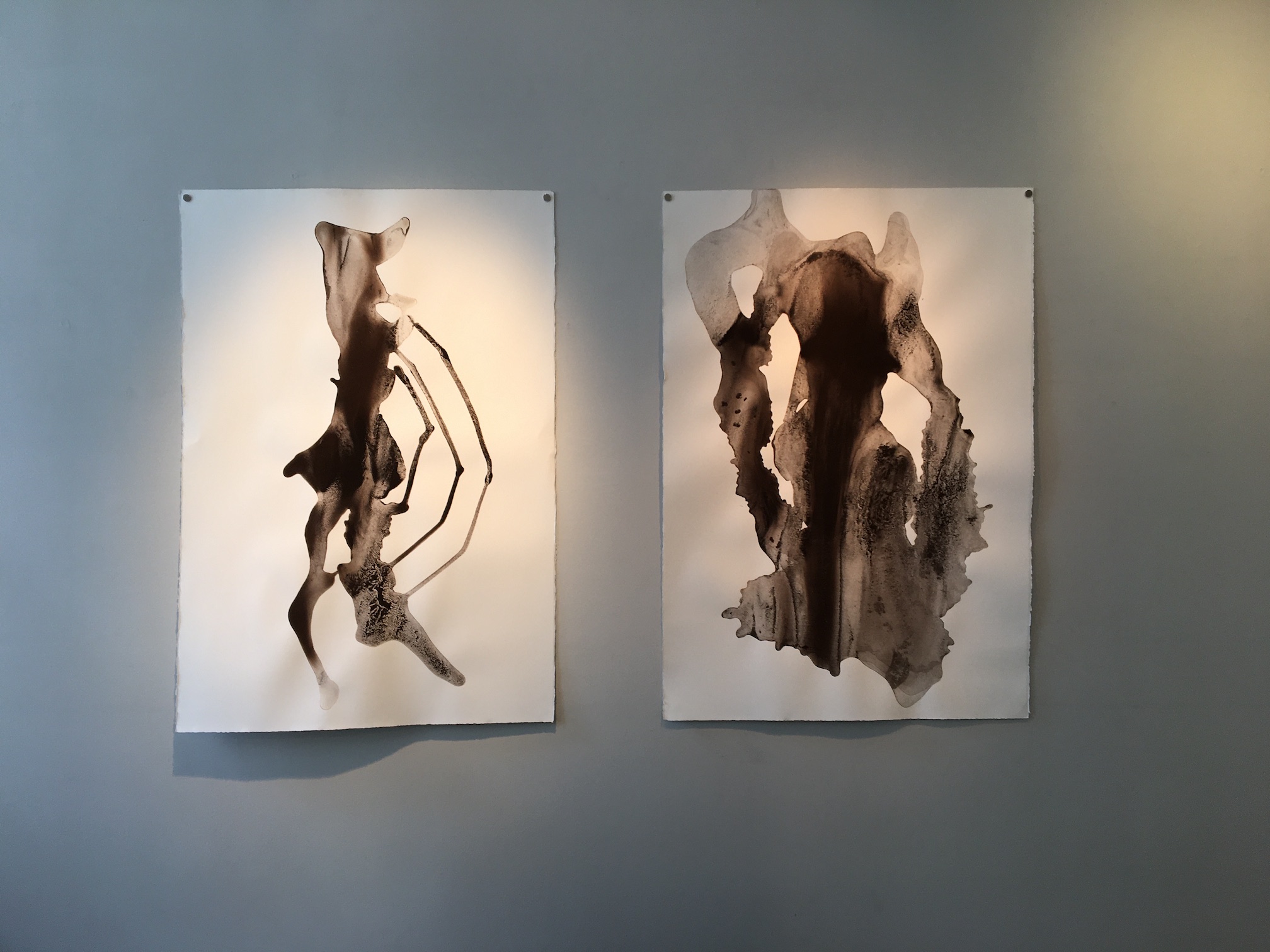 Home - The Gilchrist Fisher Award